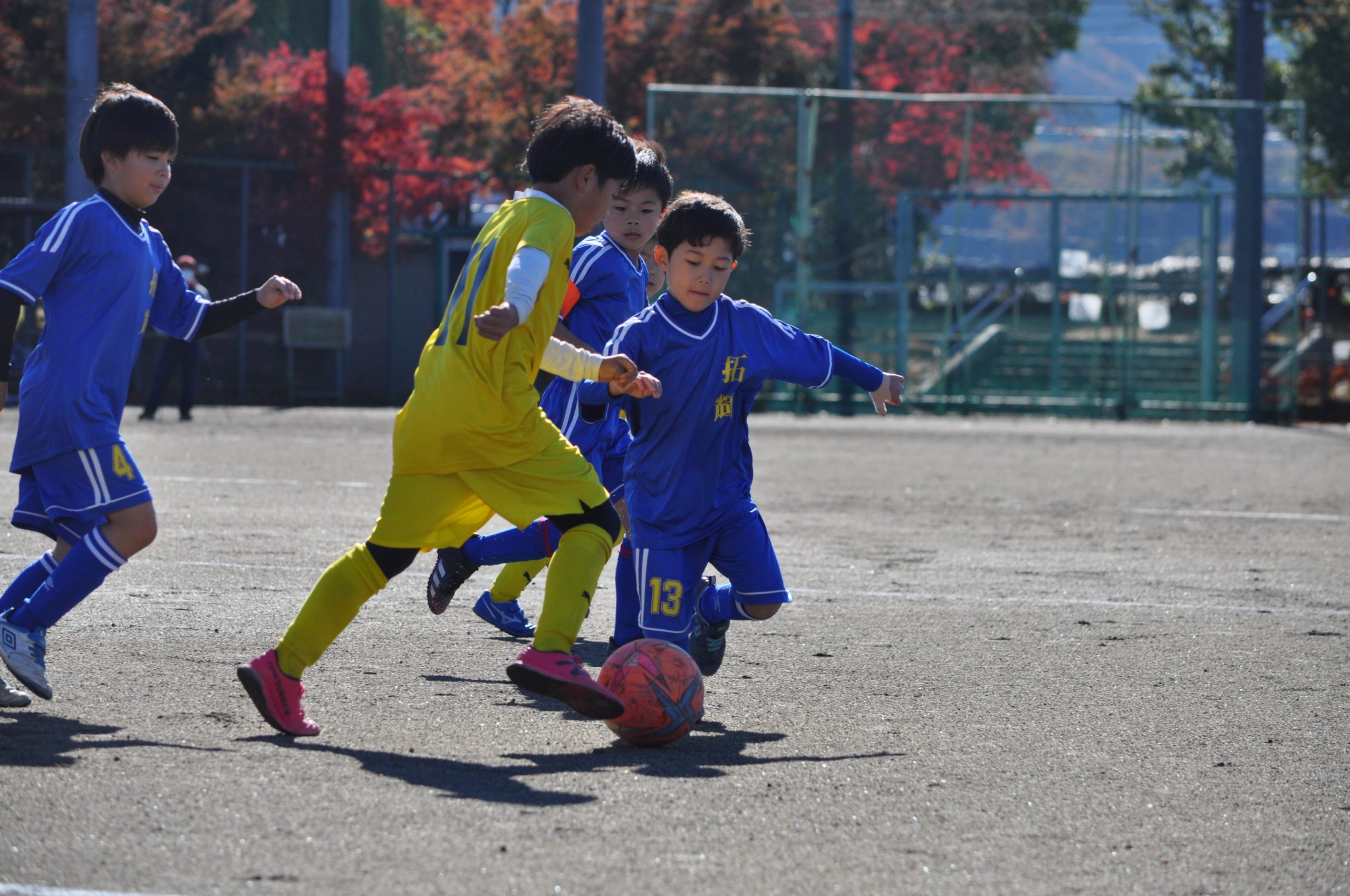 U-8/CDYスーパーカップ開催 | NPO法人CDY