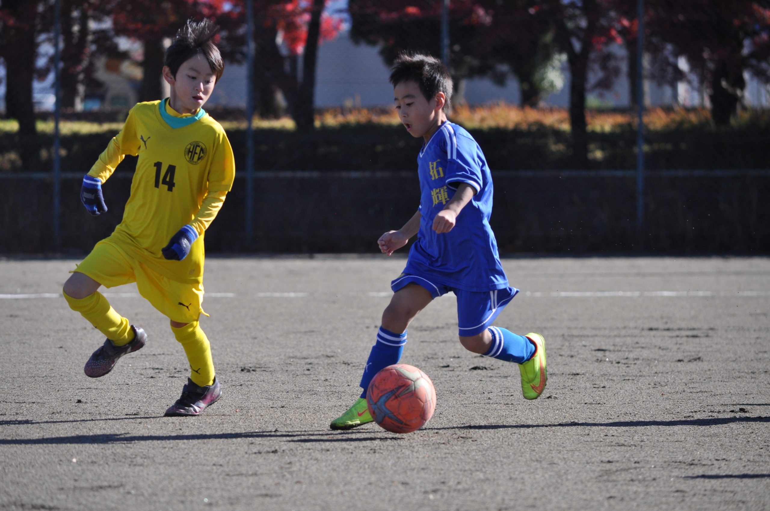 U-8/CDYスーパーカップ開催 | NPO法人CDY