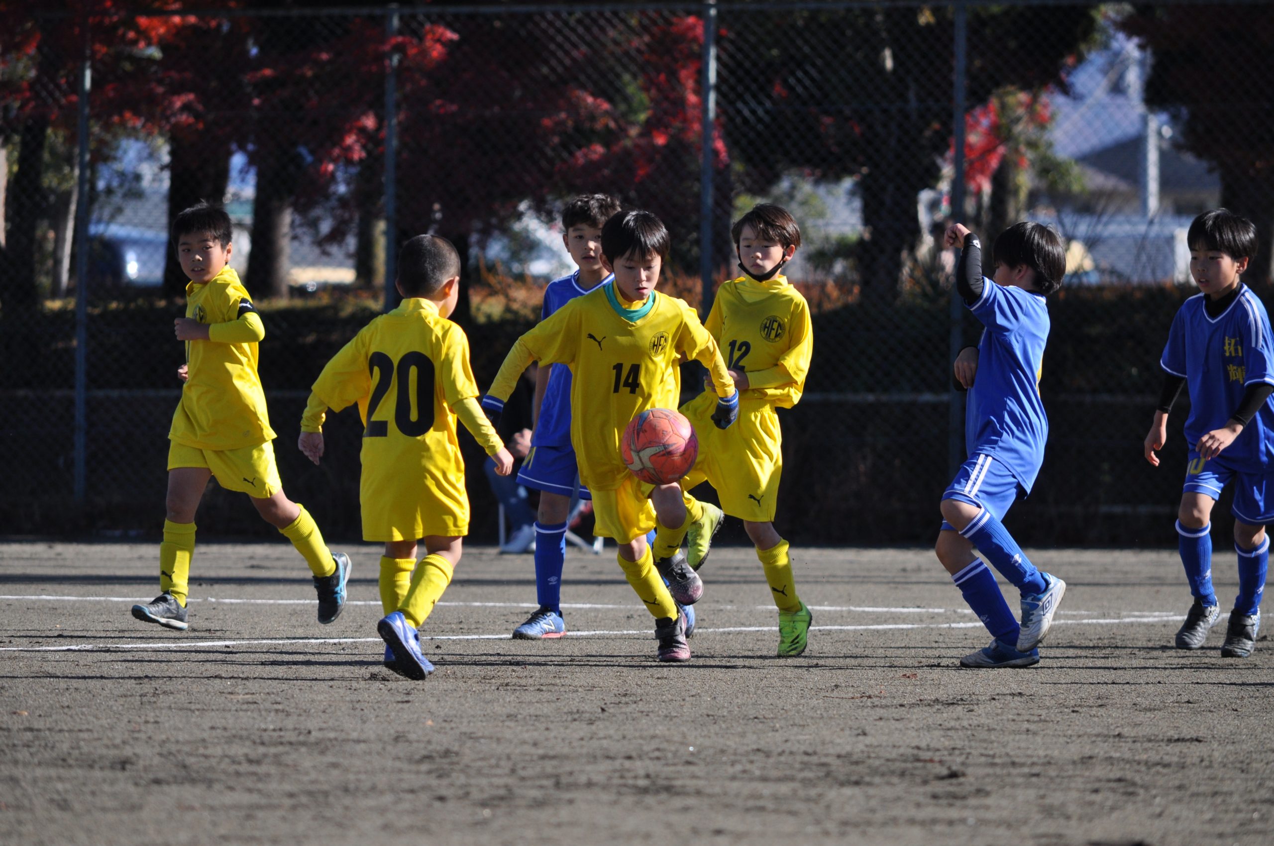 U-8/CDYスーパーカップ開催 | NPO法人CDY